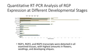 Plant development defects | PPT