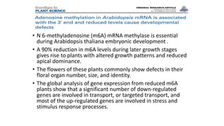 Plant development defects | PPT
