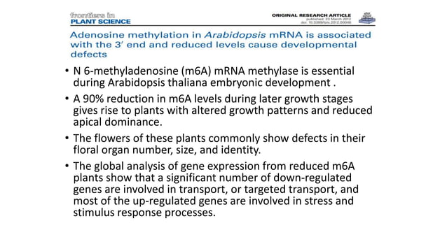 Plant development defects | PPT