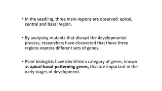 Plant development defects | PPT