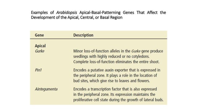 Plant development defects | PPT