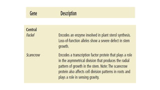 Plant development defects | PPT