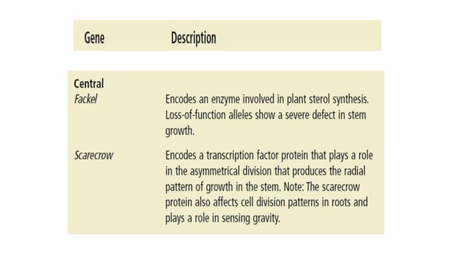 Plant development defects | PPT