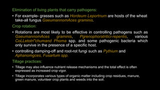 Plant diease control | PPT