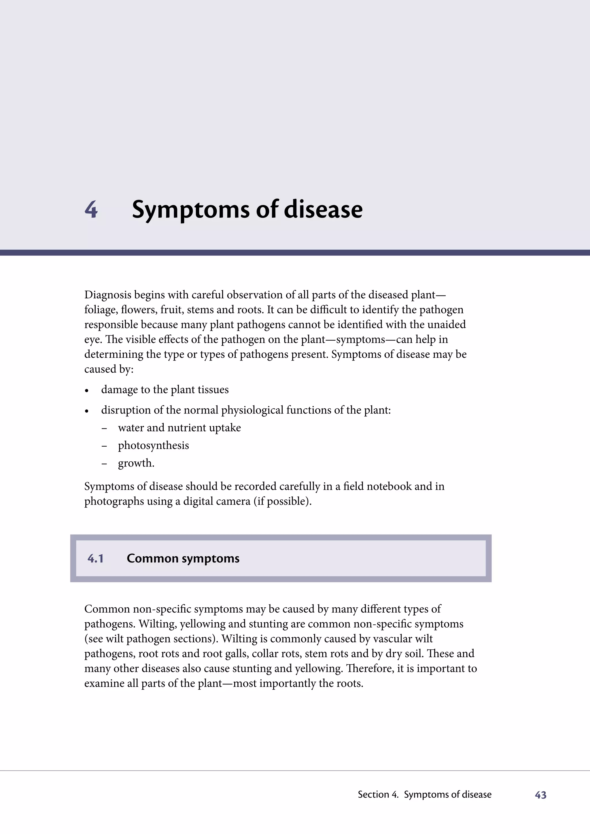 Plant disease | PDF