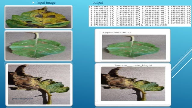 Plant disease detection and classification using deep learning | PPTX ...