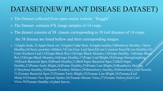 Plant disease detection and classification using deep learning | PPTX