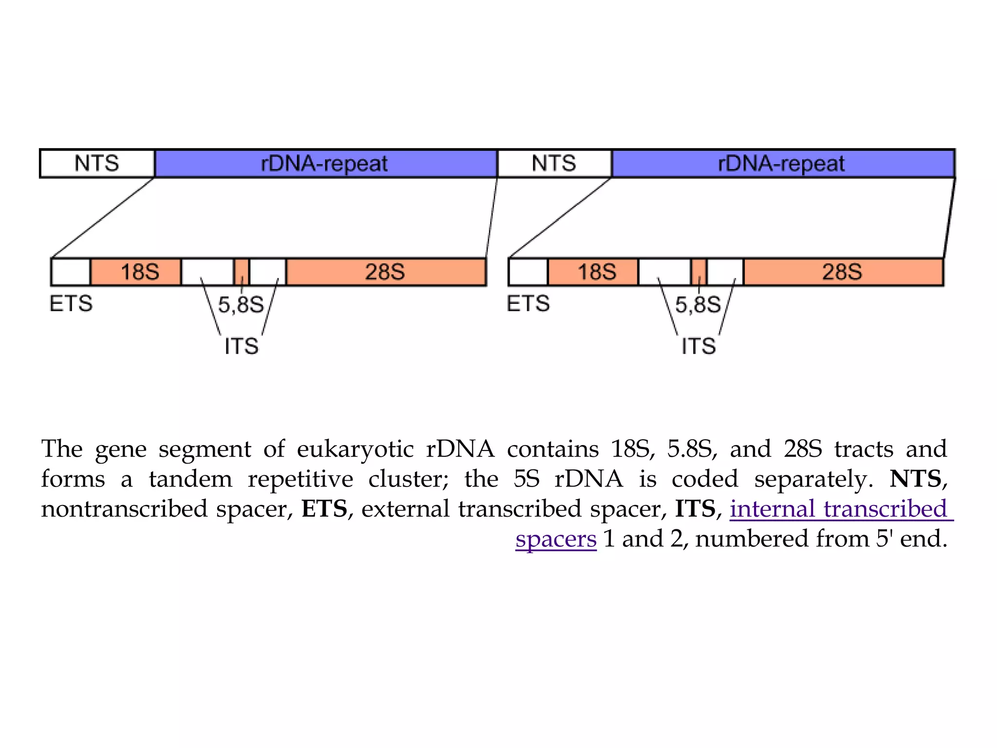 Plant disease diagnosis | PDF