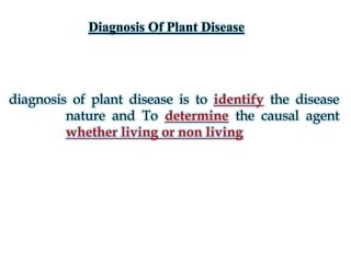 Plant disease diagnosis | PDF