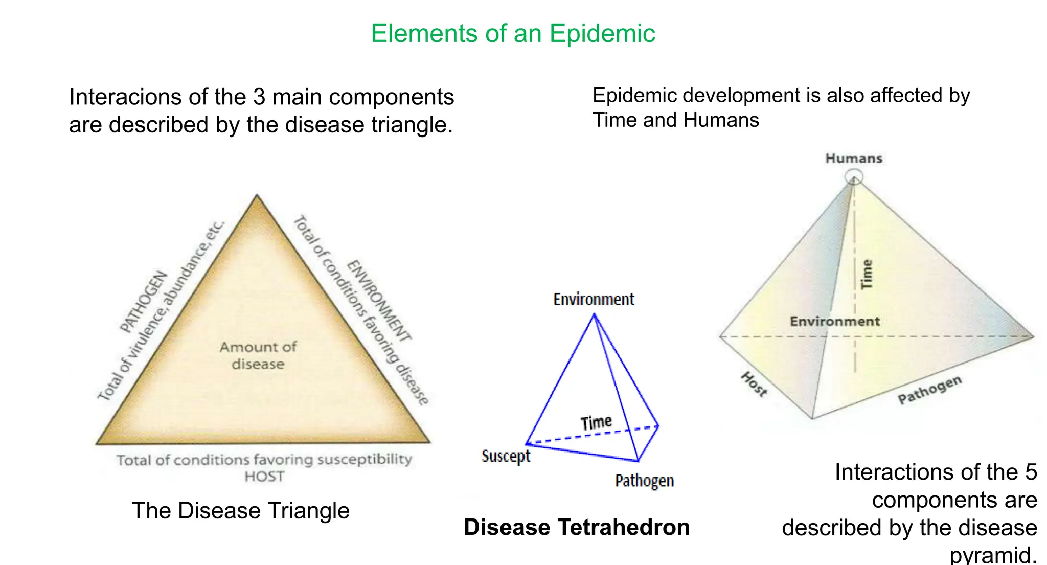 Plant_Disease_Epidemiology_An_Introducti.ppt