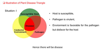Plant_Disease_Epidemiology_An_Introducti.ppt