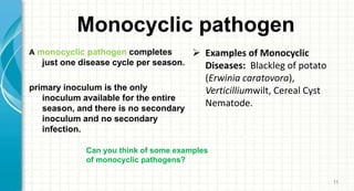 Plant_Disease_Epidemiology_An_Introducto.ppt