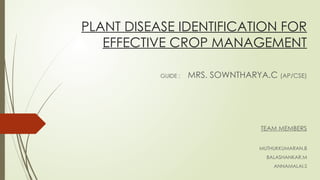 PLANT DISEASE IDENTIFICATION using AIML and Data science | PPT | Free ...