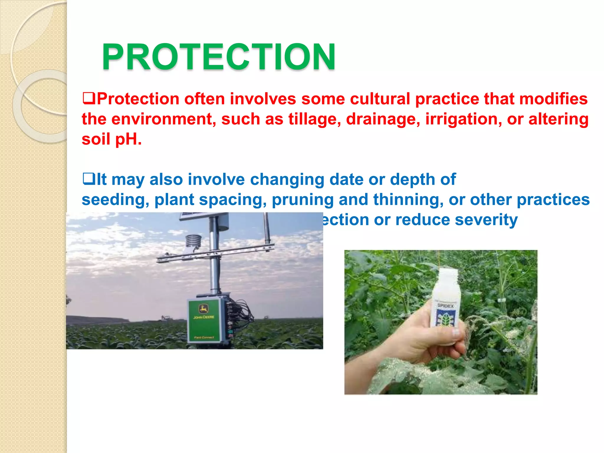 Plant disease management tissue culture techniques | PPTX