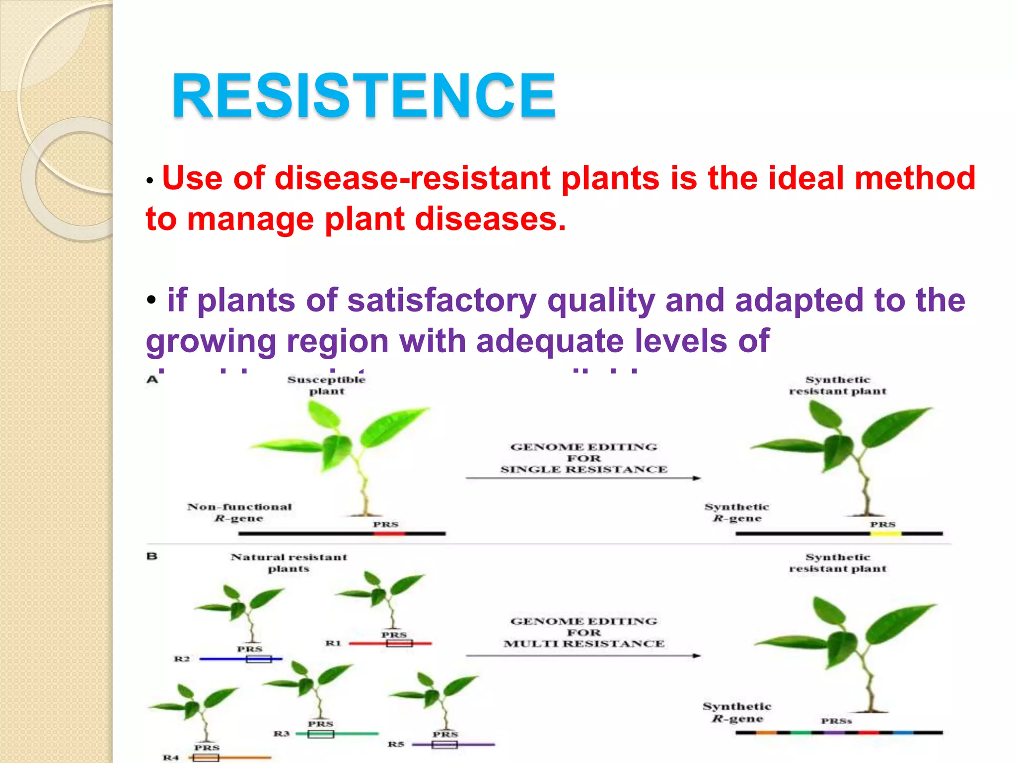 Plant disease management tissue culture techniques | PPTX