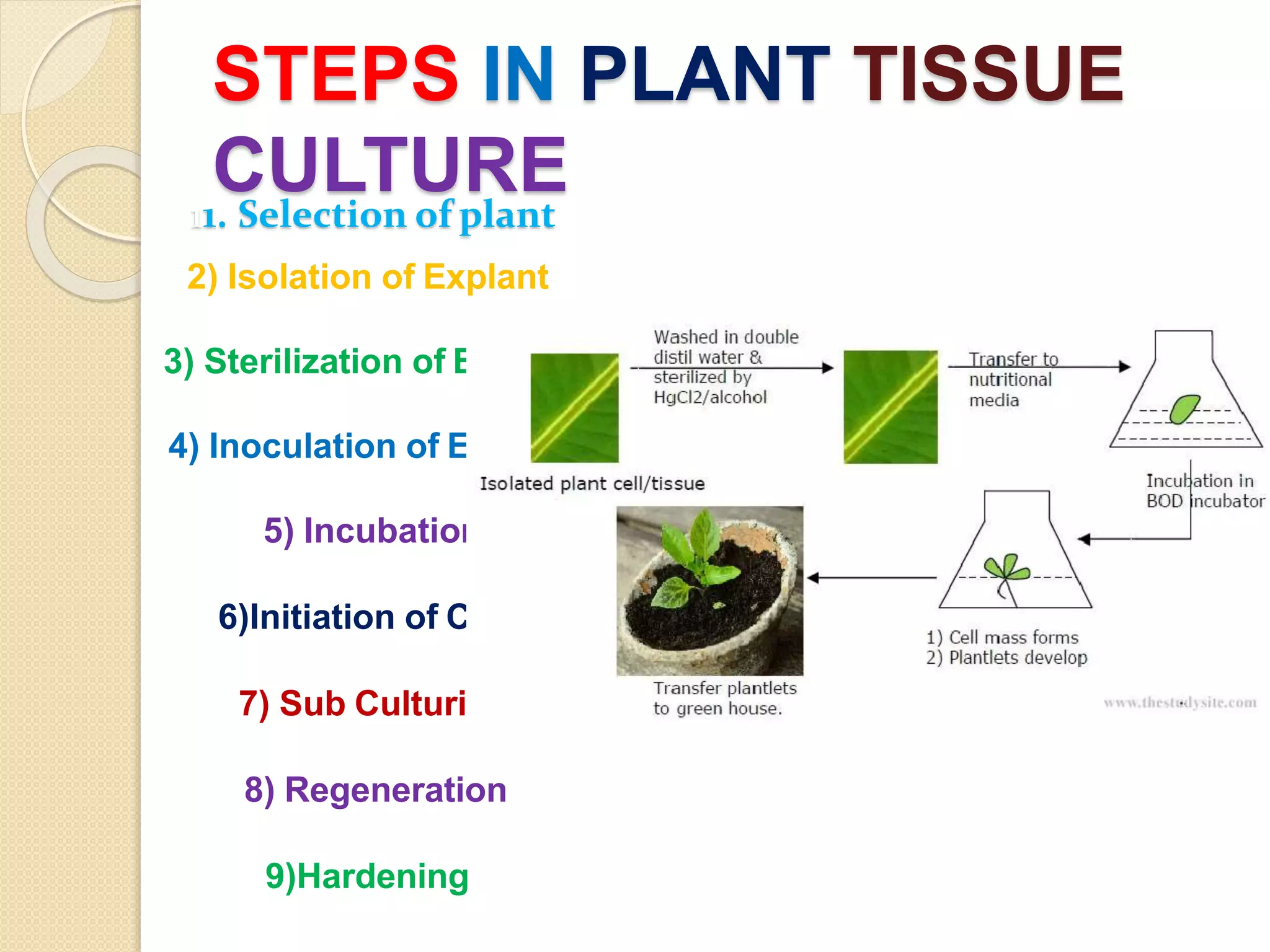 Plant disease management tissue culture techniques | PPTX