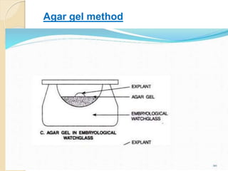 Plant disease management tissue culture techniques | PPTX