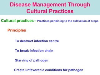 Plant disease management through cultural practices | PPT
