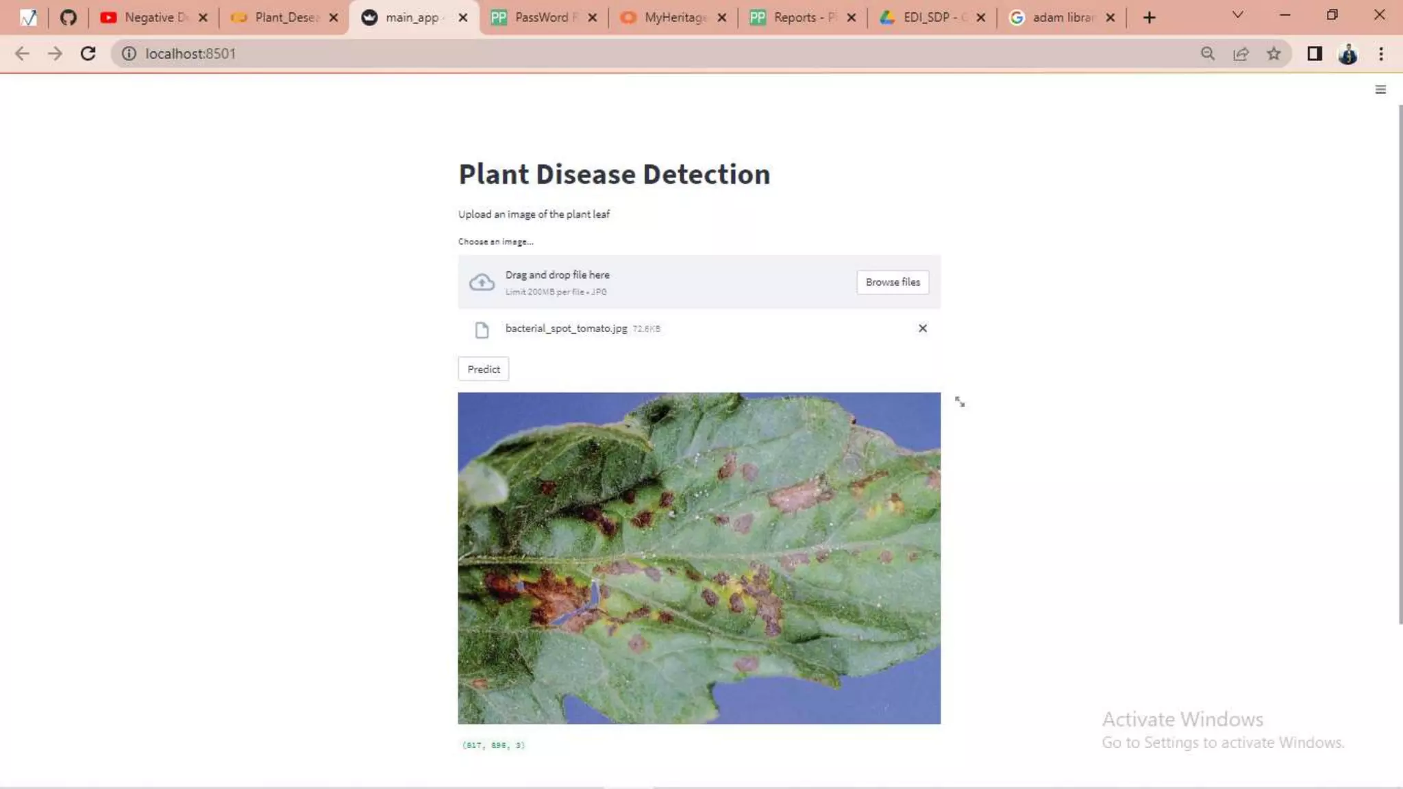 plant disease prediction.pptx