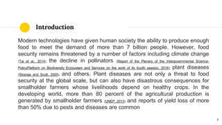 plant disease prediction.pptx