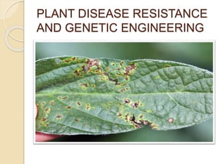 Plant Disease Resistant And Genetic Engineering | PPTX