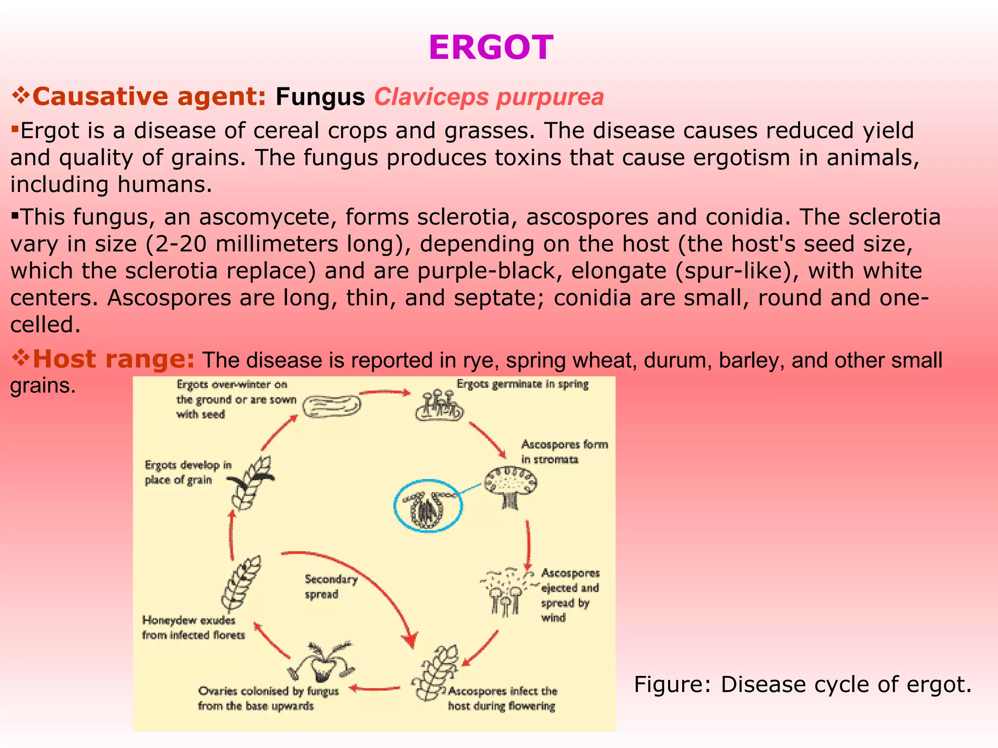 Plant Diseases | PPT