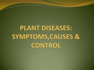 Plant diseases | PDF