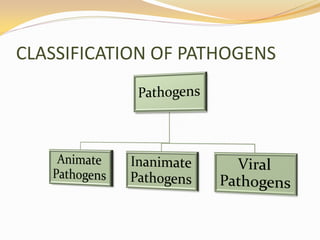 Plant diseases | PDF