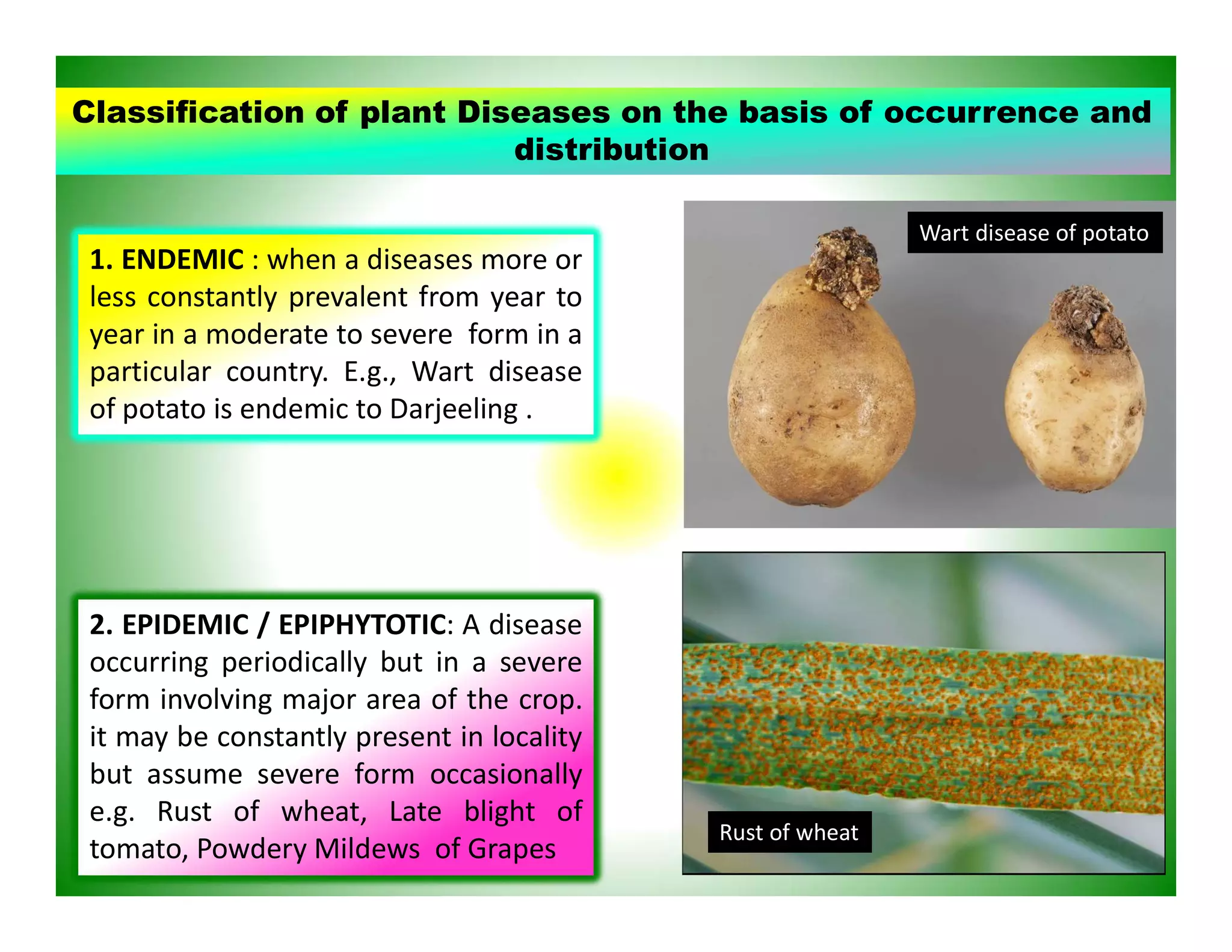 Causal Organisms for Plant diseases and its symptoms. | PDF