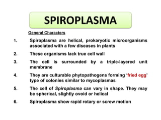Plant diseases caused by phytoplasma and spiroplasma | PPT