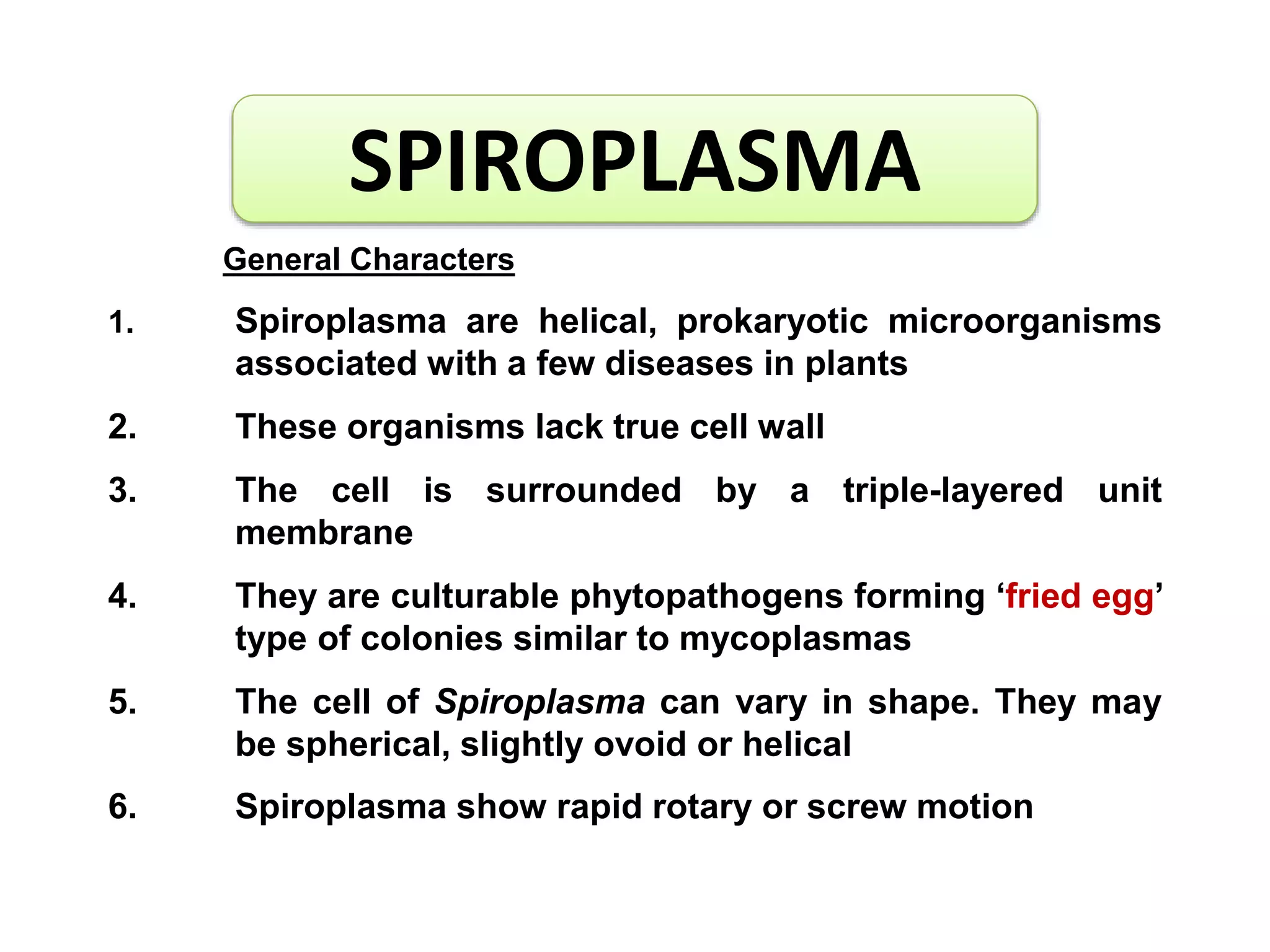 Plant diseases caused by phytoplasma and spiroplasma | PPTX