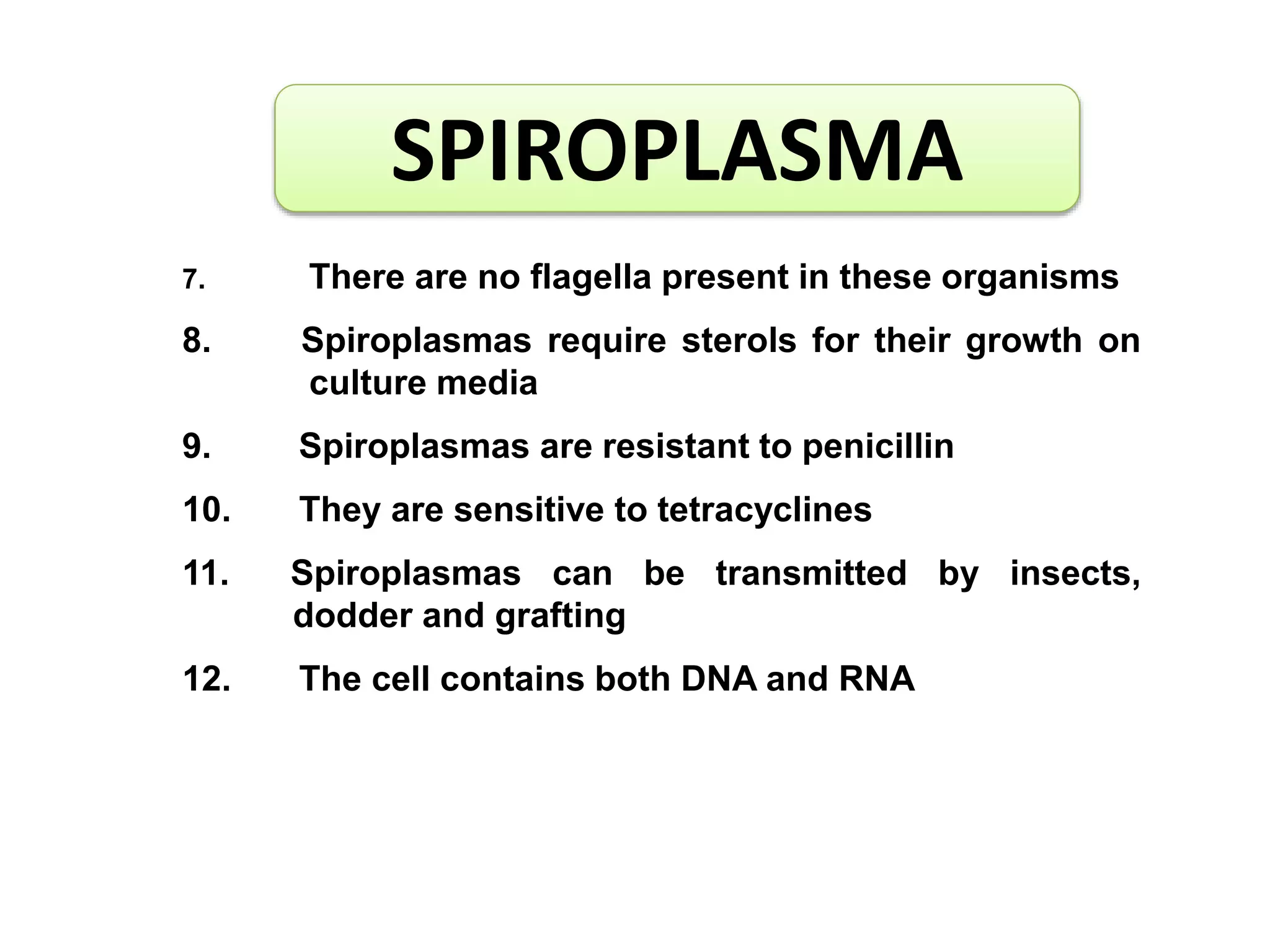 Plant diseases caused by phytoplasma and spiroplasma | PPTX
