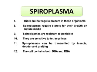 Plant diseases caused by phytoplasma and spiroplasma | PPTX