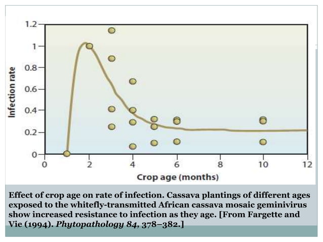 Plant diseases epidemiology | PPTX
