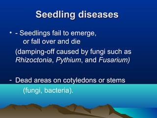 interoduction of Plant diseases | PPT