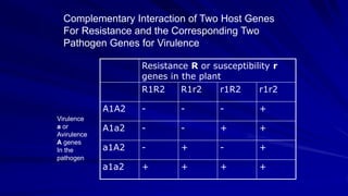 Plant diseasesresistance | PPTX