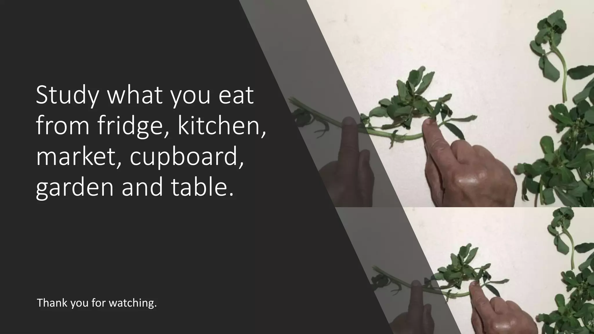 Plant dissection | PPTX