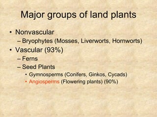 Plant Diversity Jewett | PPT