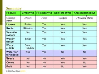 Plantdiversity | PPT