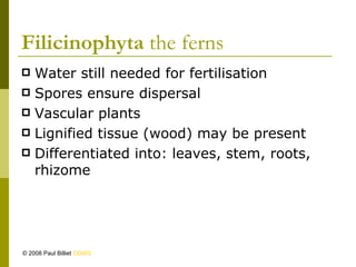 Plantdiversity | PPT