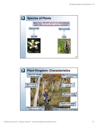 Plant diversity | PDF