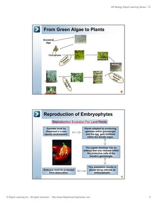 Plant diversity | PDF | Gardening | Home & Garden