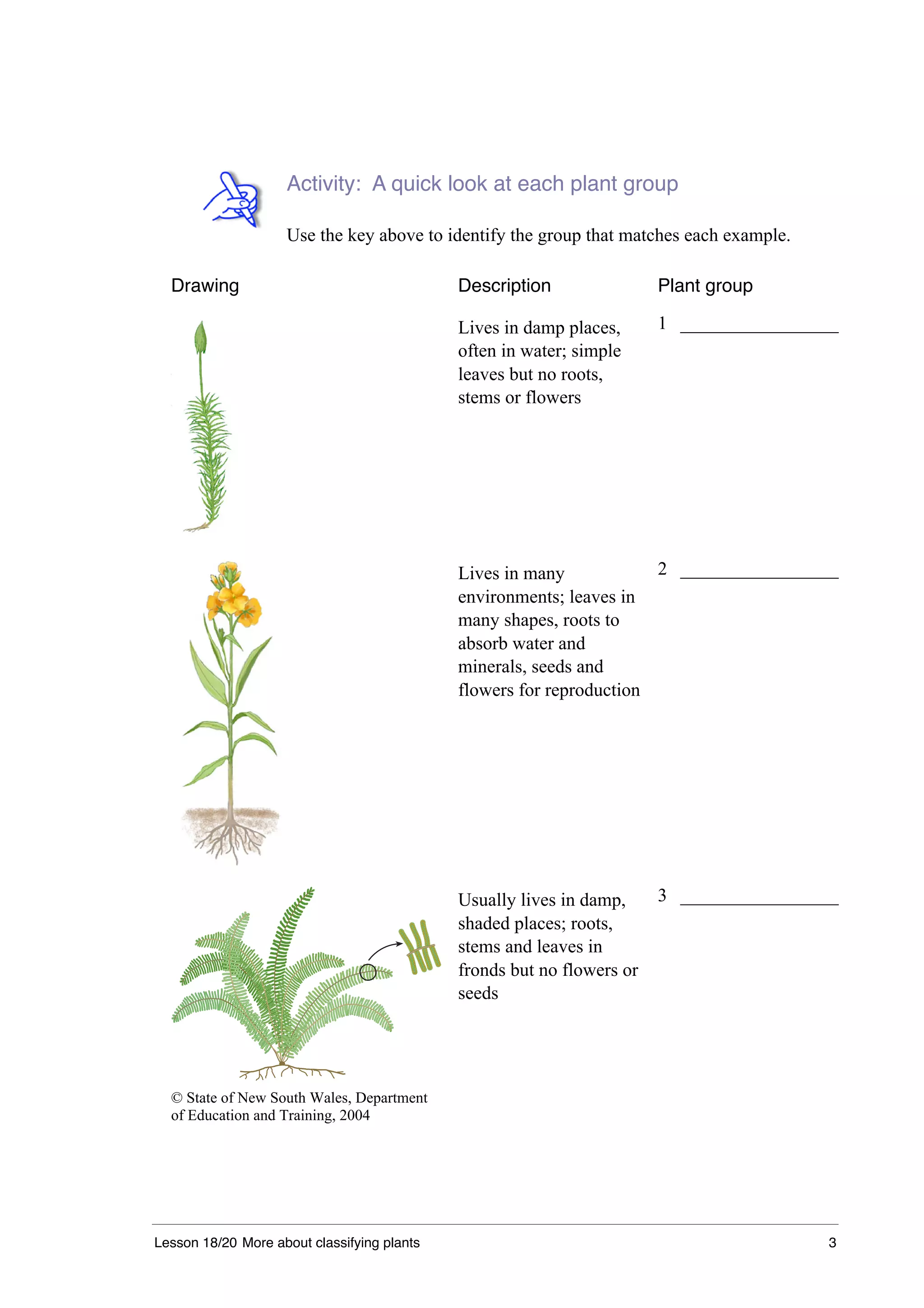PLant diversity.pdf