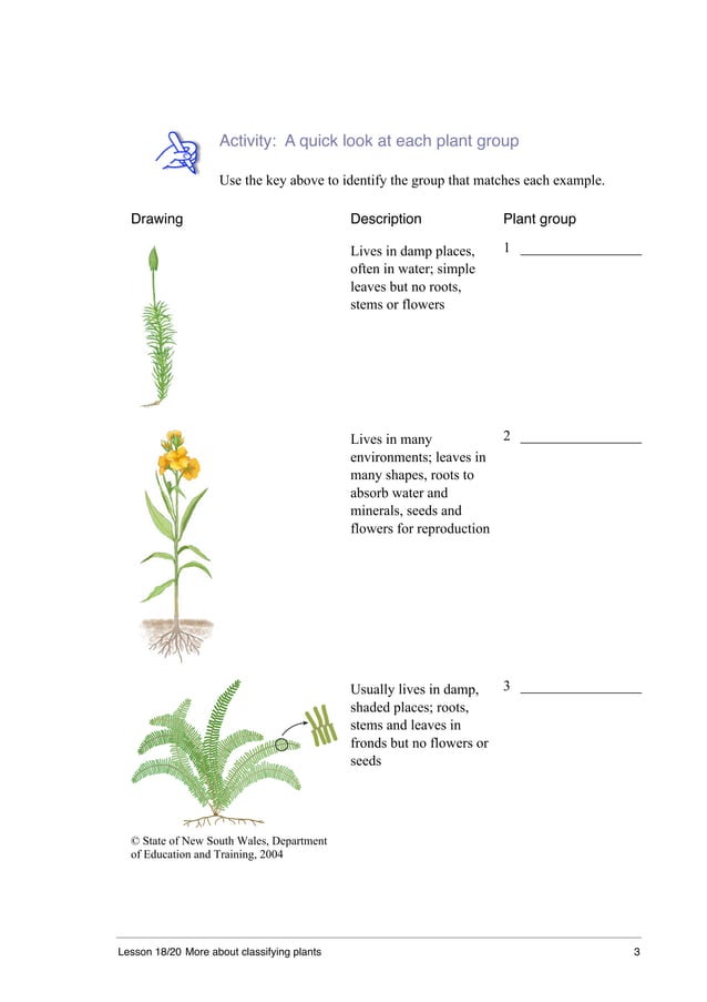 PLant diversity.pdf