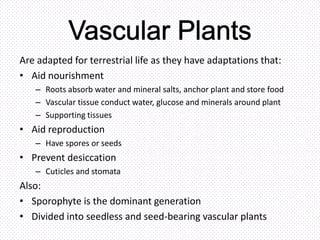 Plant Diversity and Reproduction | PPTX