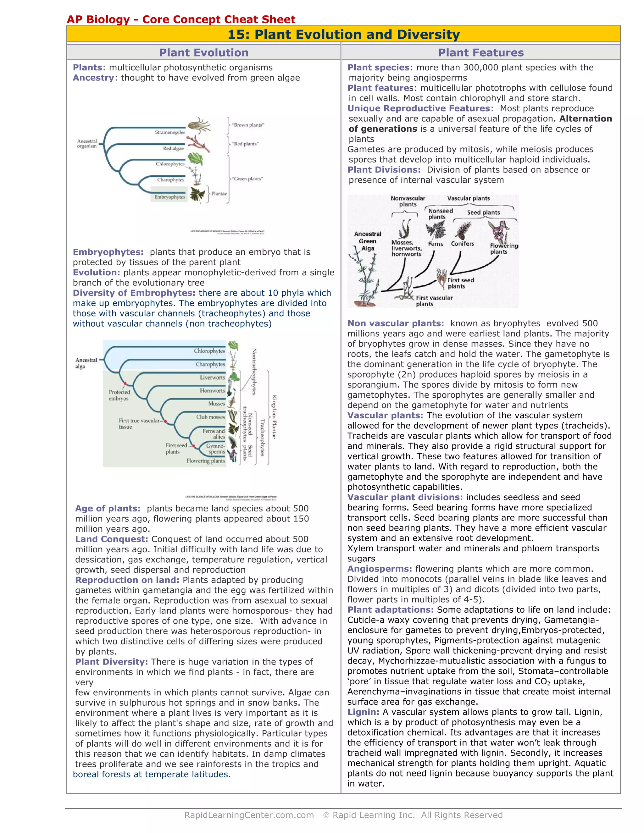 Plant diversity cheat sheet | PDF