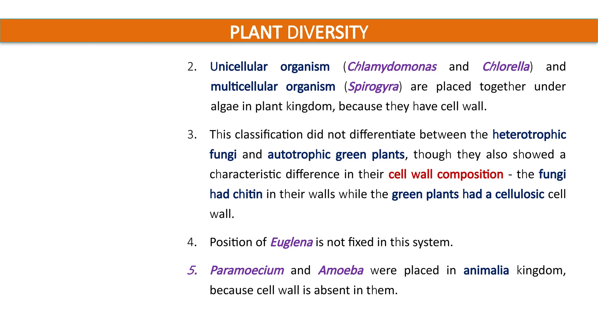 Plant Diversity Eng Complete detailed analysis of diversity.ppt | Free ...