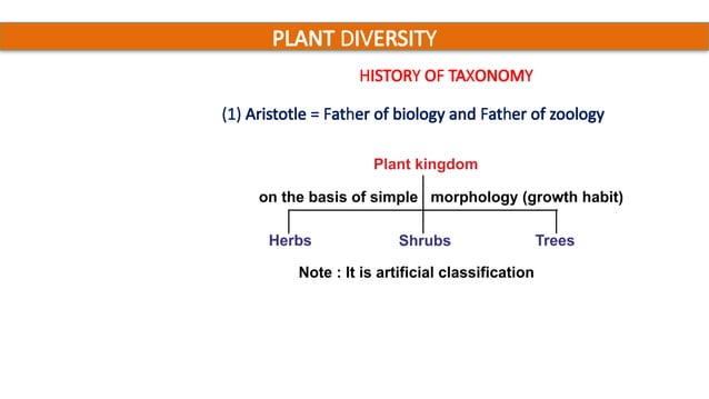 Plant Diversity Eng Complete detailed analysis of diversity.ppt | Free ...