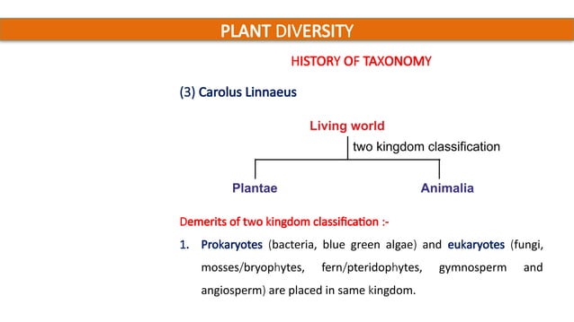 Plant Diversity Eng Complete detailed analysis of diversity.ppt | Free ...