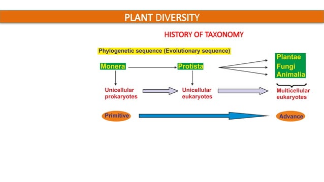 Plant Diversity Eng Complete detailed analysis of diversity.ppt | Free ...